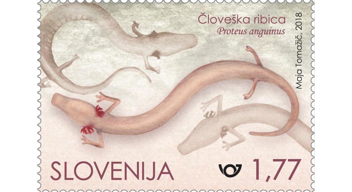 The Olm on a Stamp! » Postojna Cave Park - Welcome to the official website