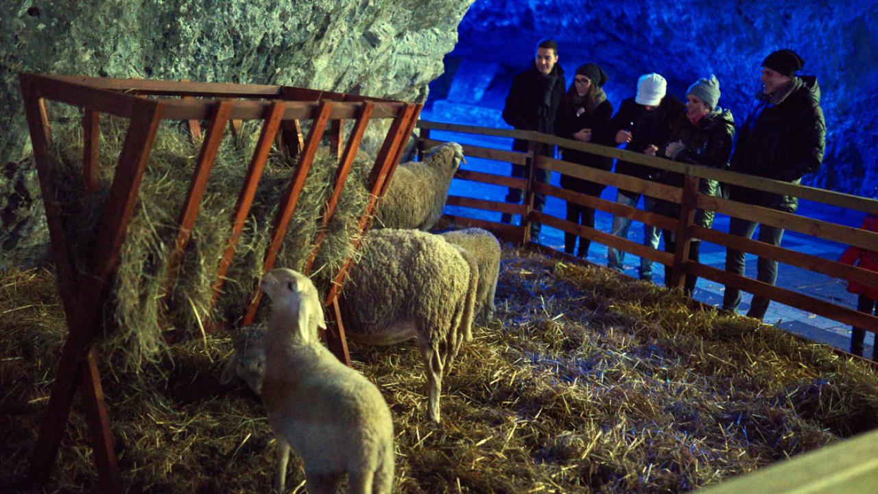 Rekordne Žive jaslice v Postojnski jami » Park Postojnska jama ...
